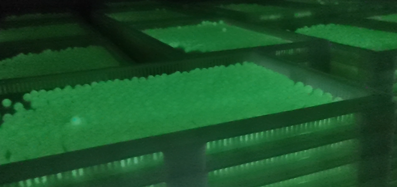 Dark Light vs Glow-in-the-Dark Zombie Paintballs: Full Comparison ...